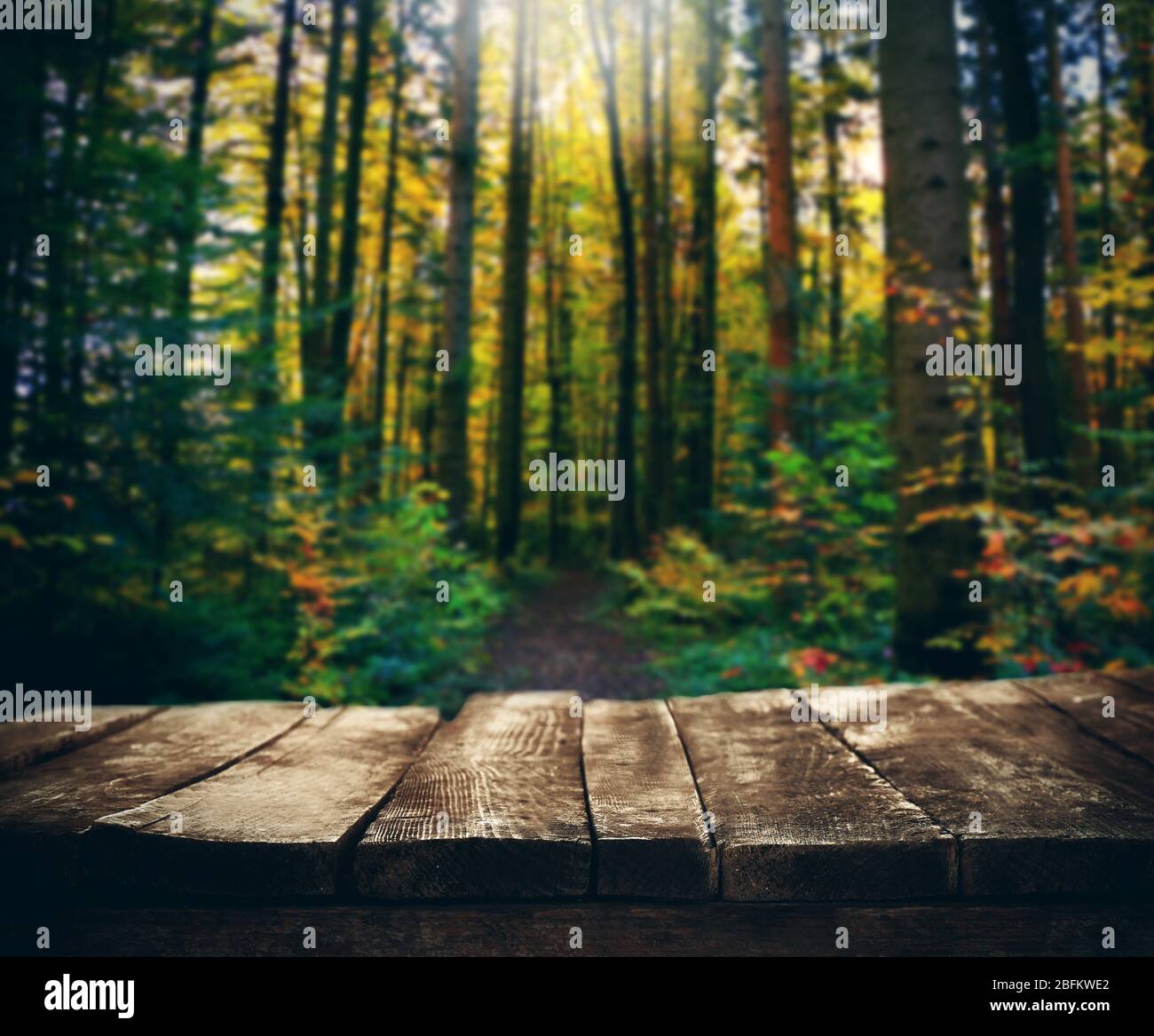 Beautiful nature background with wooden floor Stock Photo - Alamy