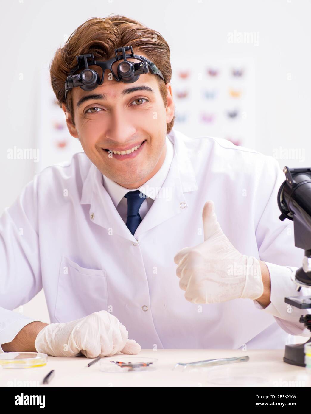 The scientist entomologist studying new butterfly species Stock Photo ...
