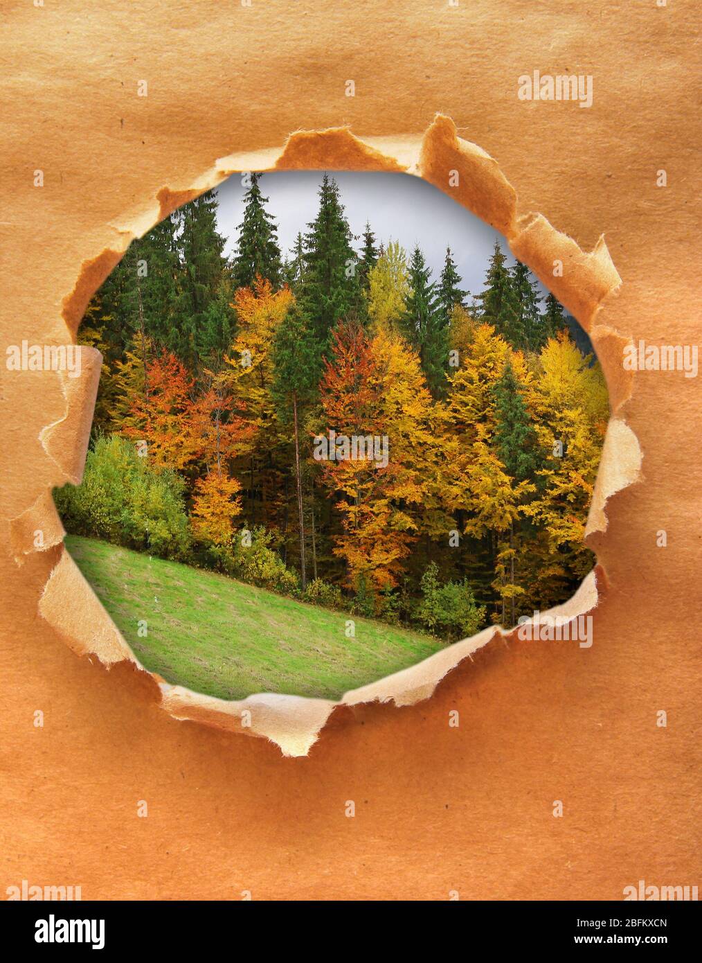 Paper frame with beautiful nature background Stock Photo - Alamy