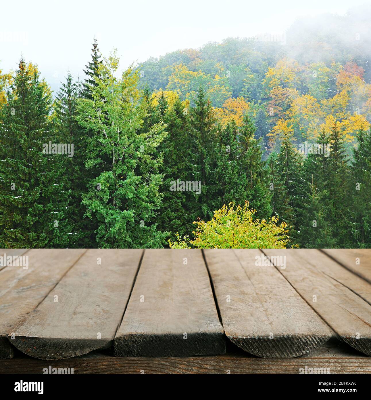Beautiful nature background with wooden floor Stock Photo - Alamy
