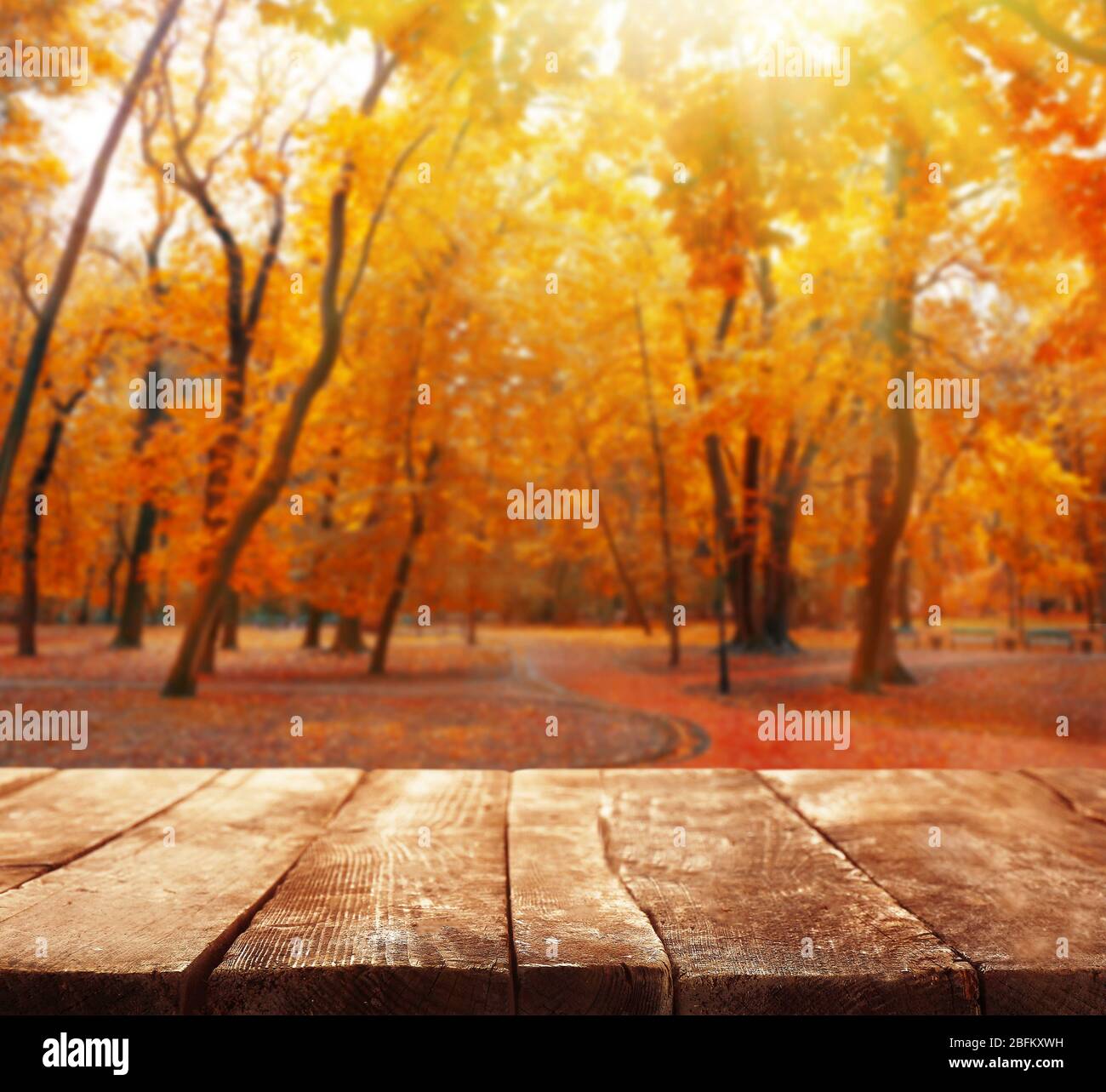 Beautiful nature background with wooden floor Stock Photo - Alamy