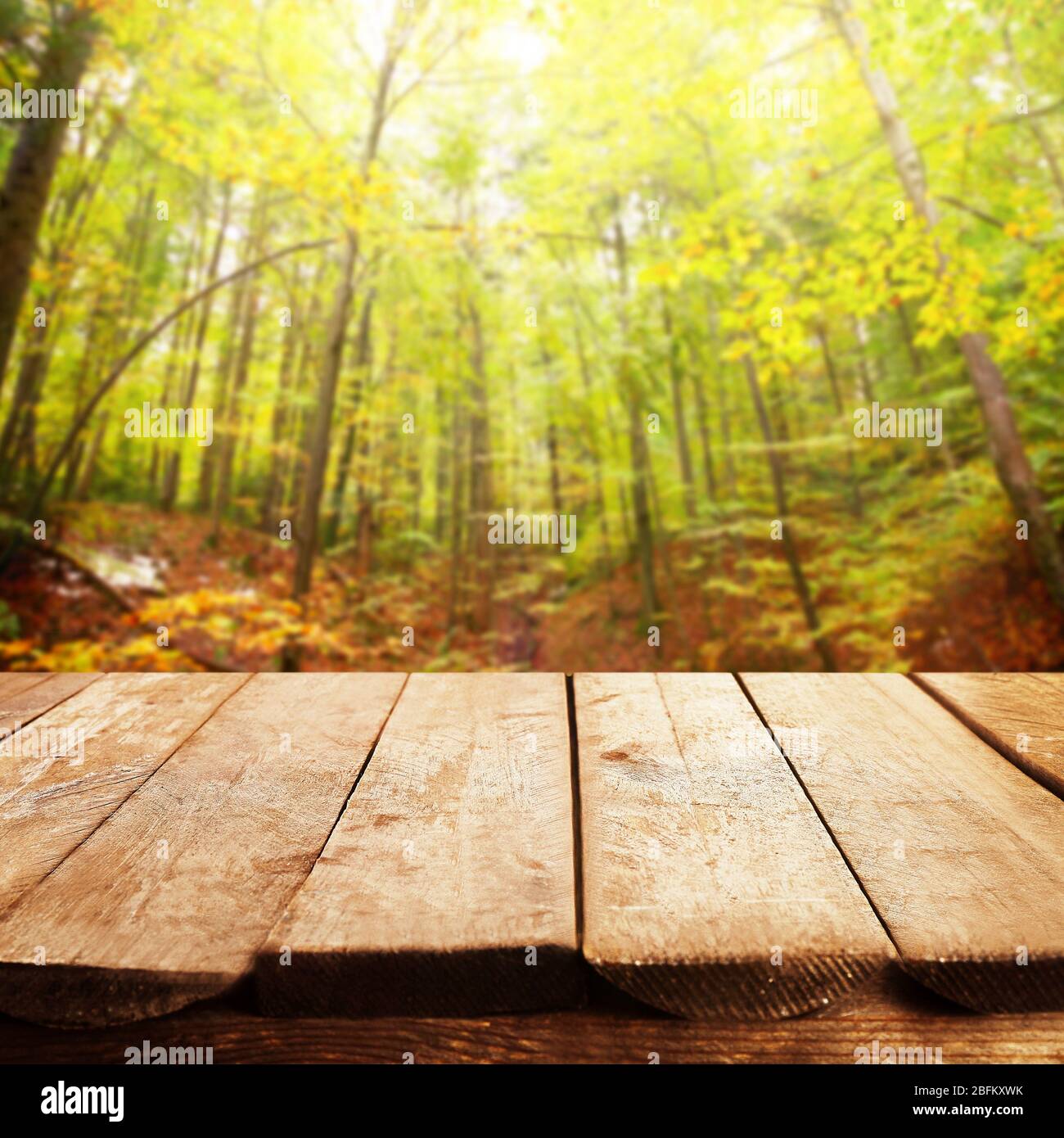 Beautiful nature background with wooden floor Stock Photo - Alamy