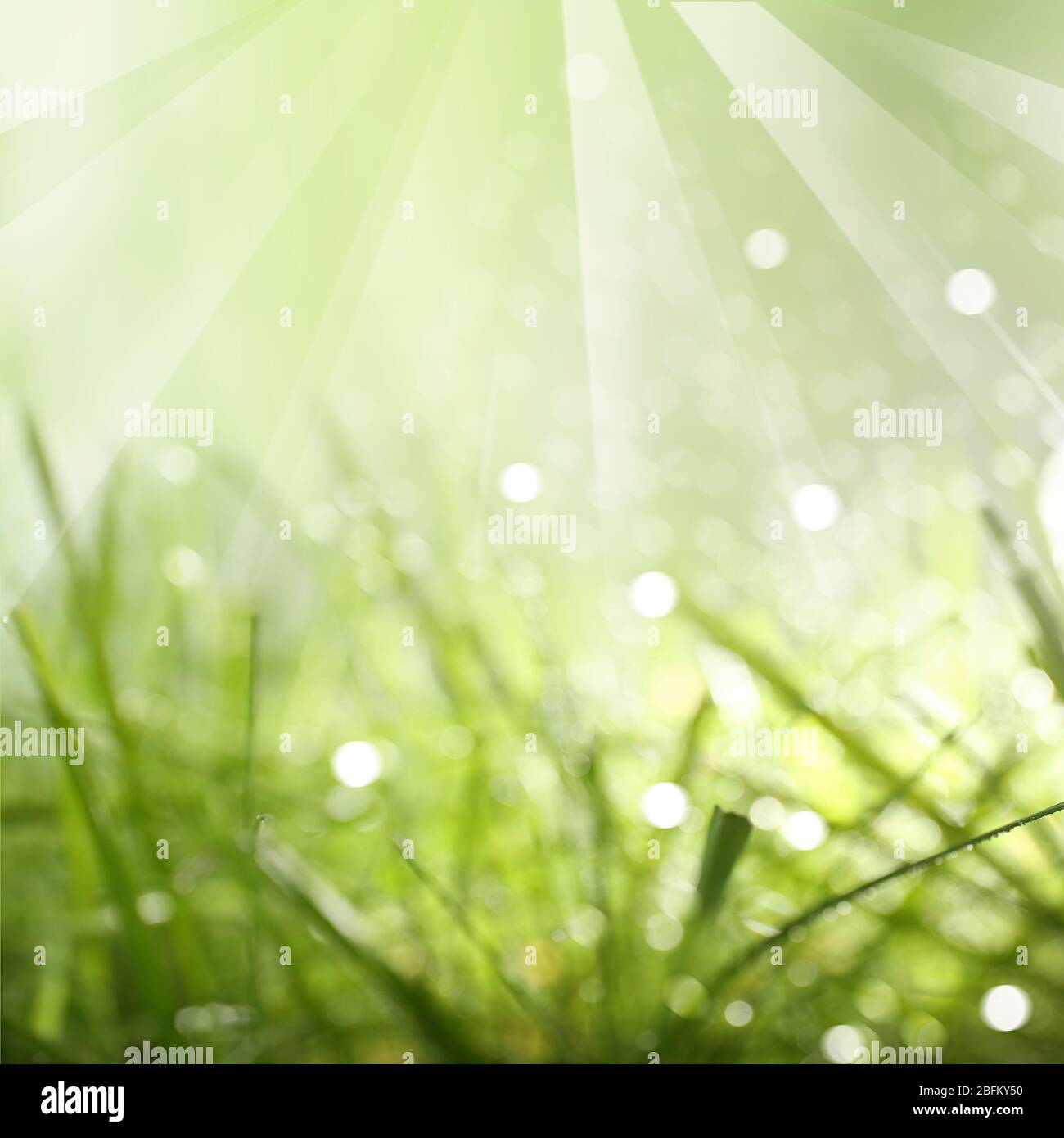Green abstract nature background with sunlight Stock Photo - Alamy