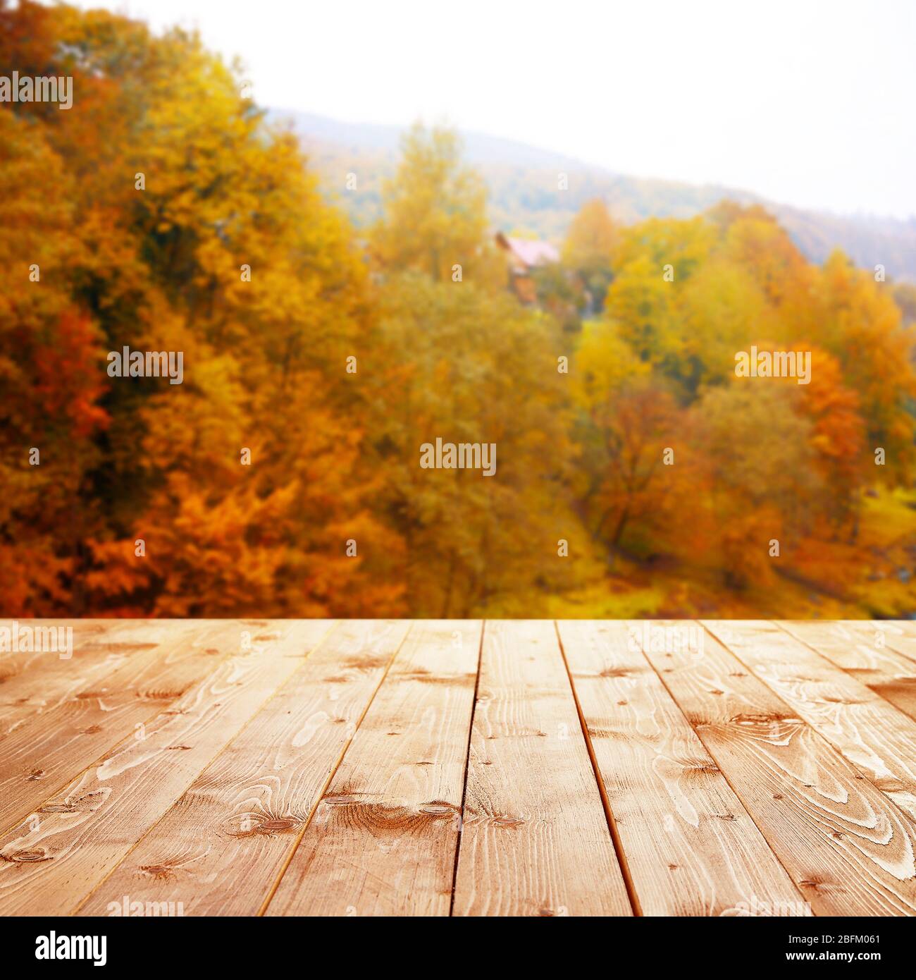 Beautiful nature background with wooden floor Stock Photo - Alamy