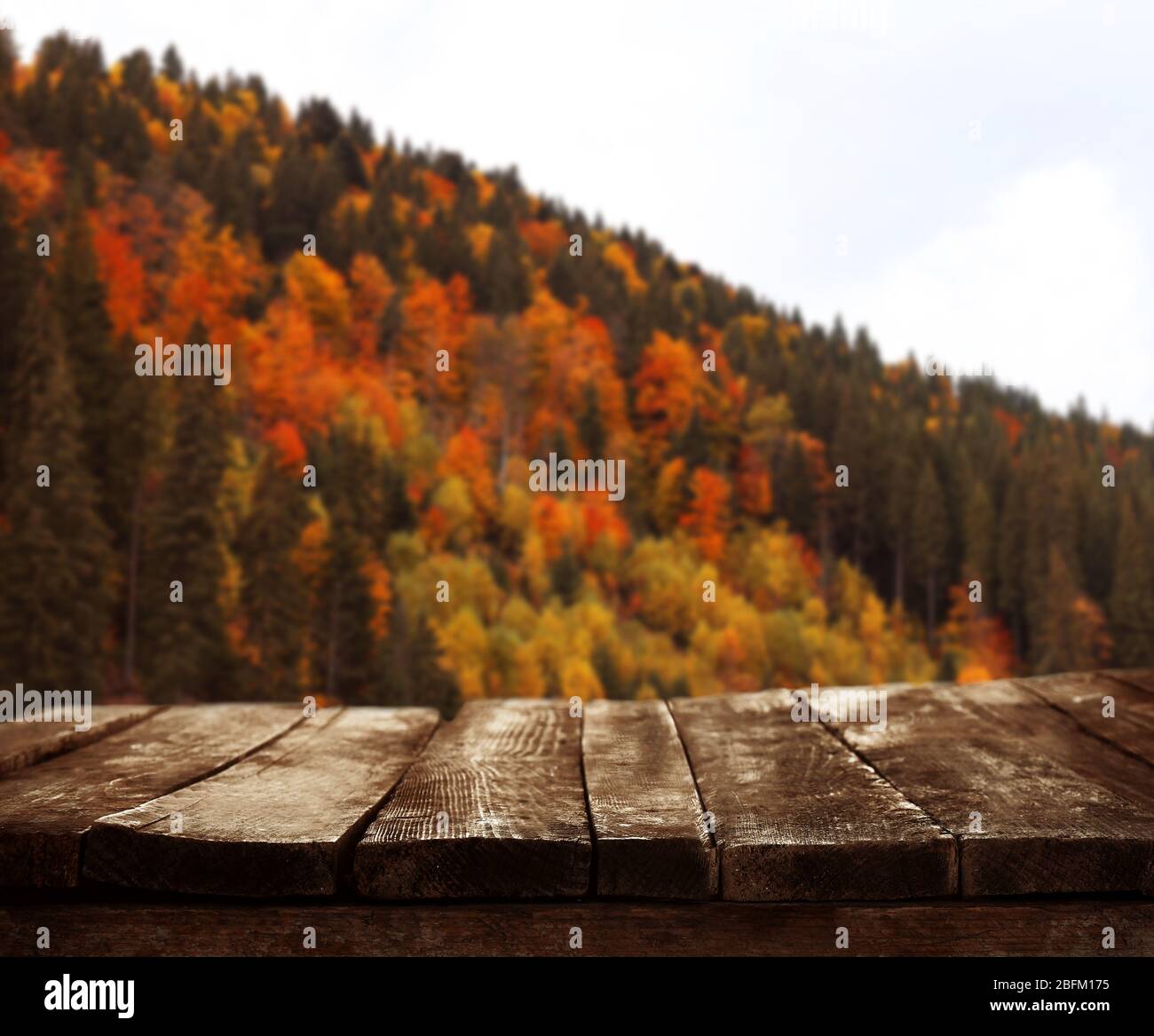 Beautiful nature background with wooden floor Stock Photo - Alamy
