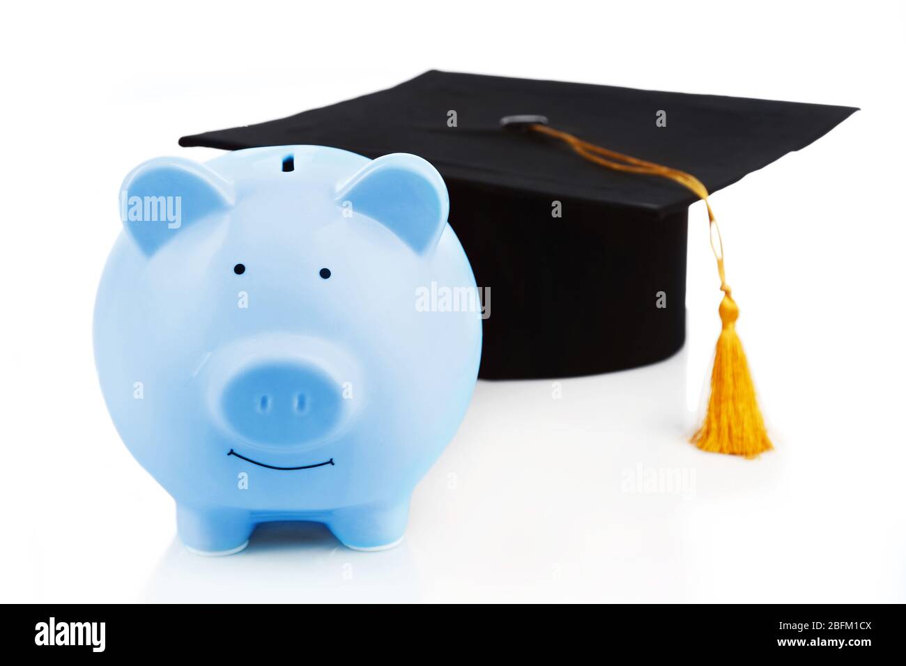 Graduation hat pig hi-res stock photography and images - Alamy