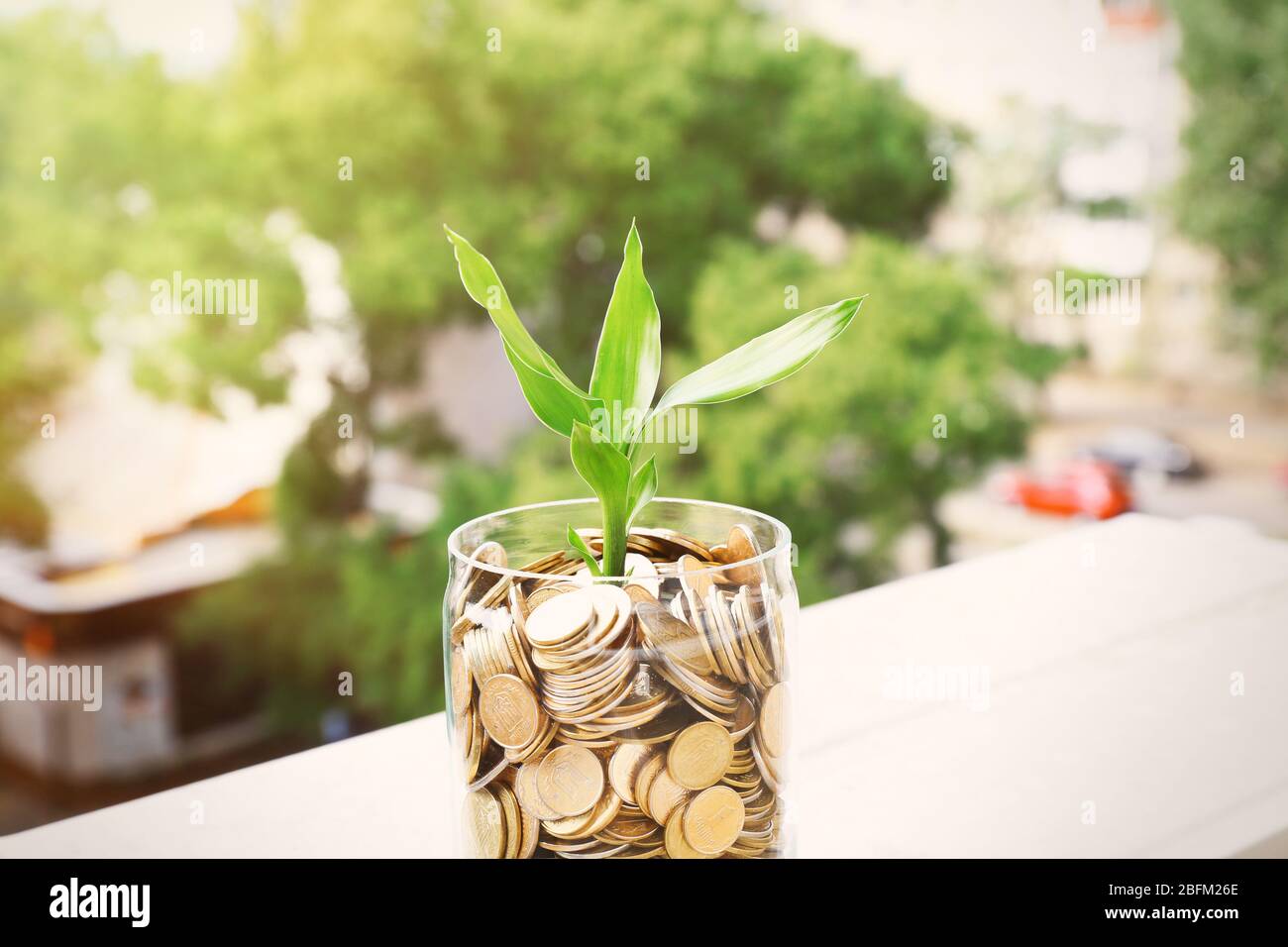 Plant growing in coins outside Stock Photo - Alamy