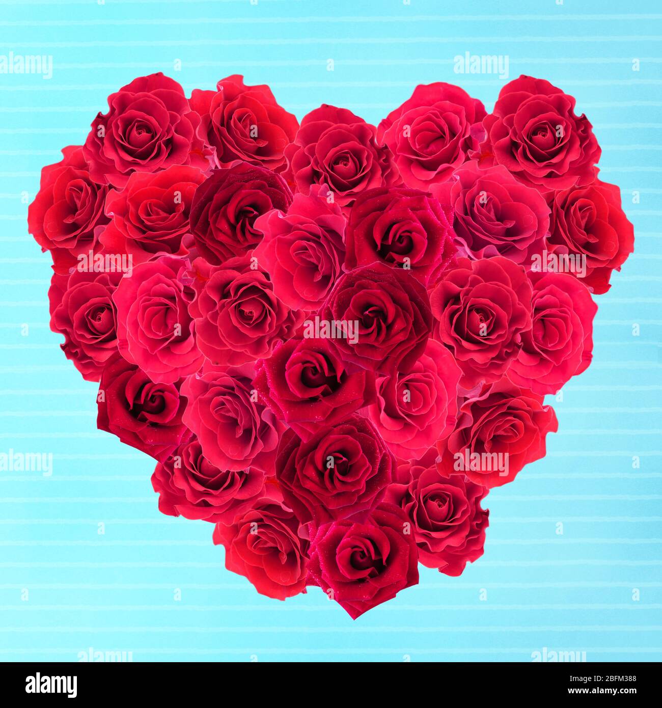 Bouquet red roses made cardboard hi-res stock photography and images ...