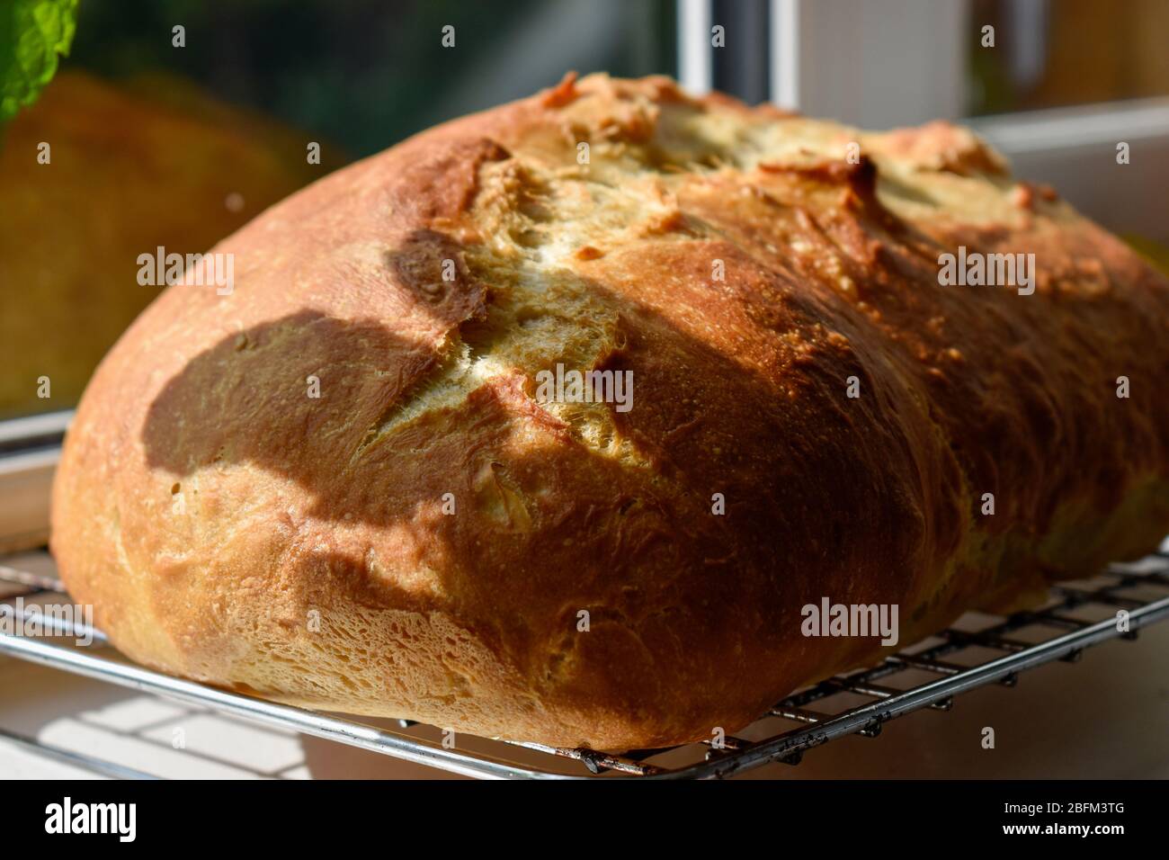 A home baked loaf of bread cooling by a window Stock Photo - Alamy