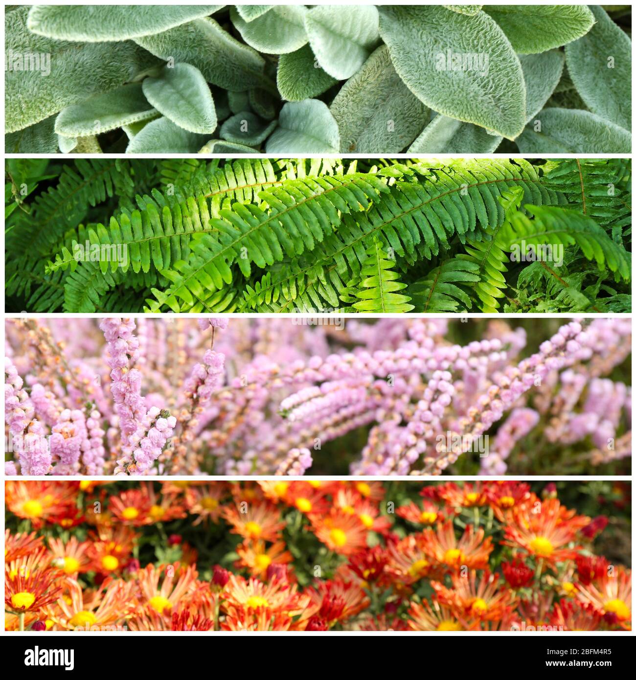 Beautiful forest walk tree Cut Out Stock Images & Pictures - Alamy