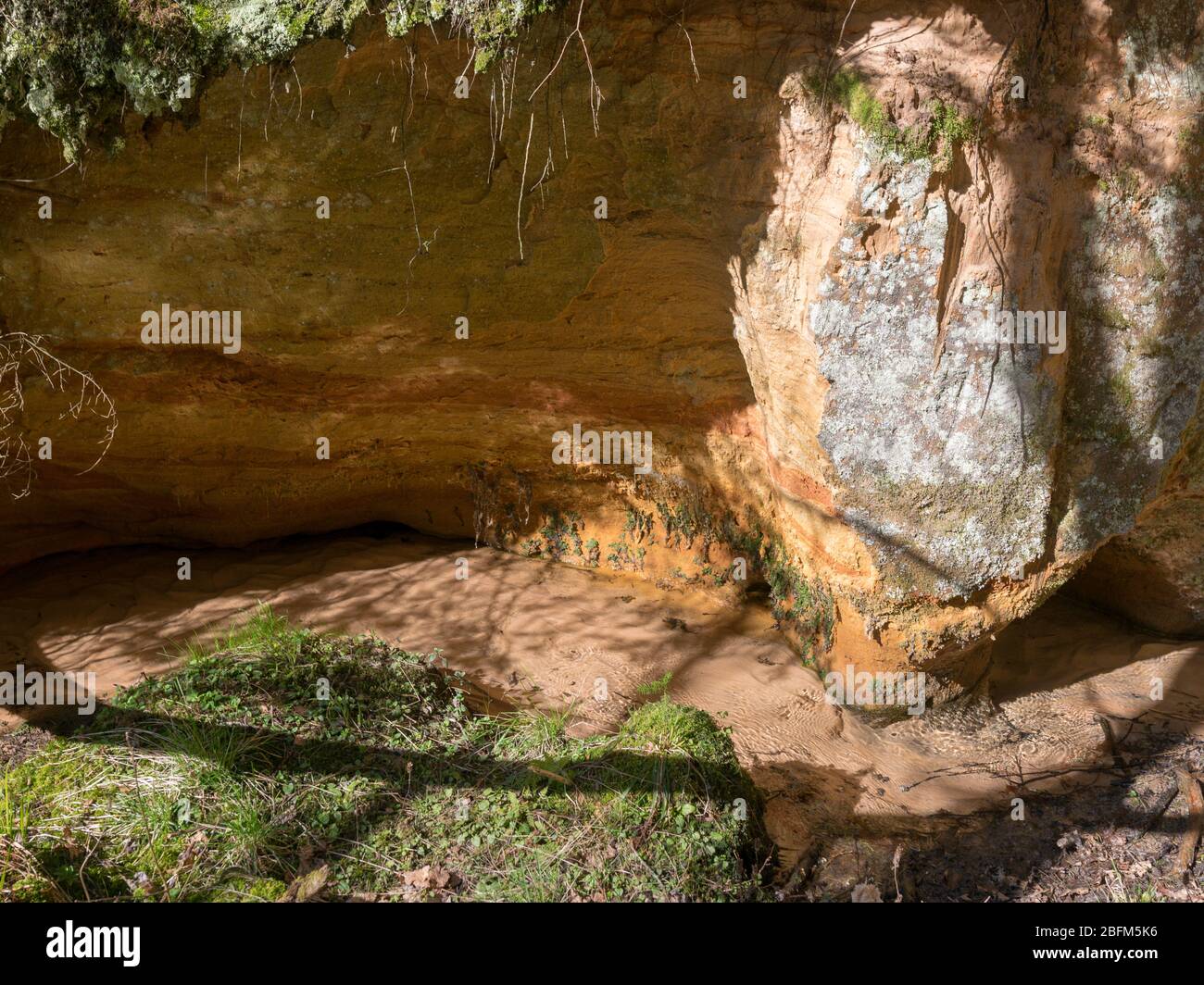picture with a sandstone wall and tree roots, a cave covered with moss ...
