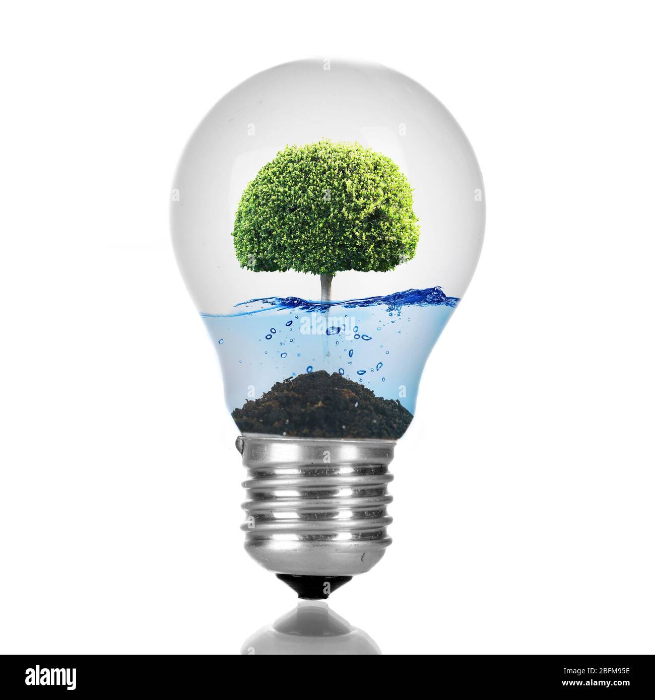 Tree growing inside light bulb with water isolated on white Stock Photo ...