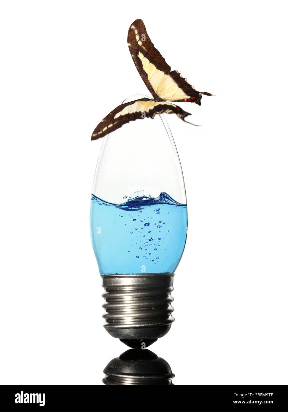 Colorful butterfly sitting on light bulb isolated on white Stock Photo ...