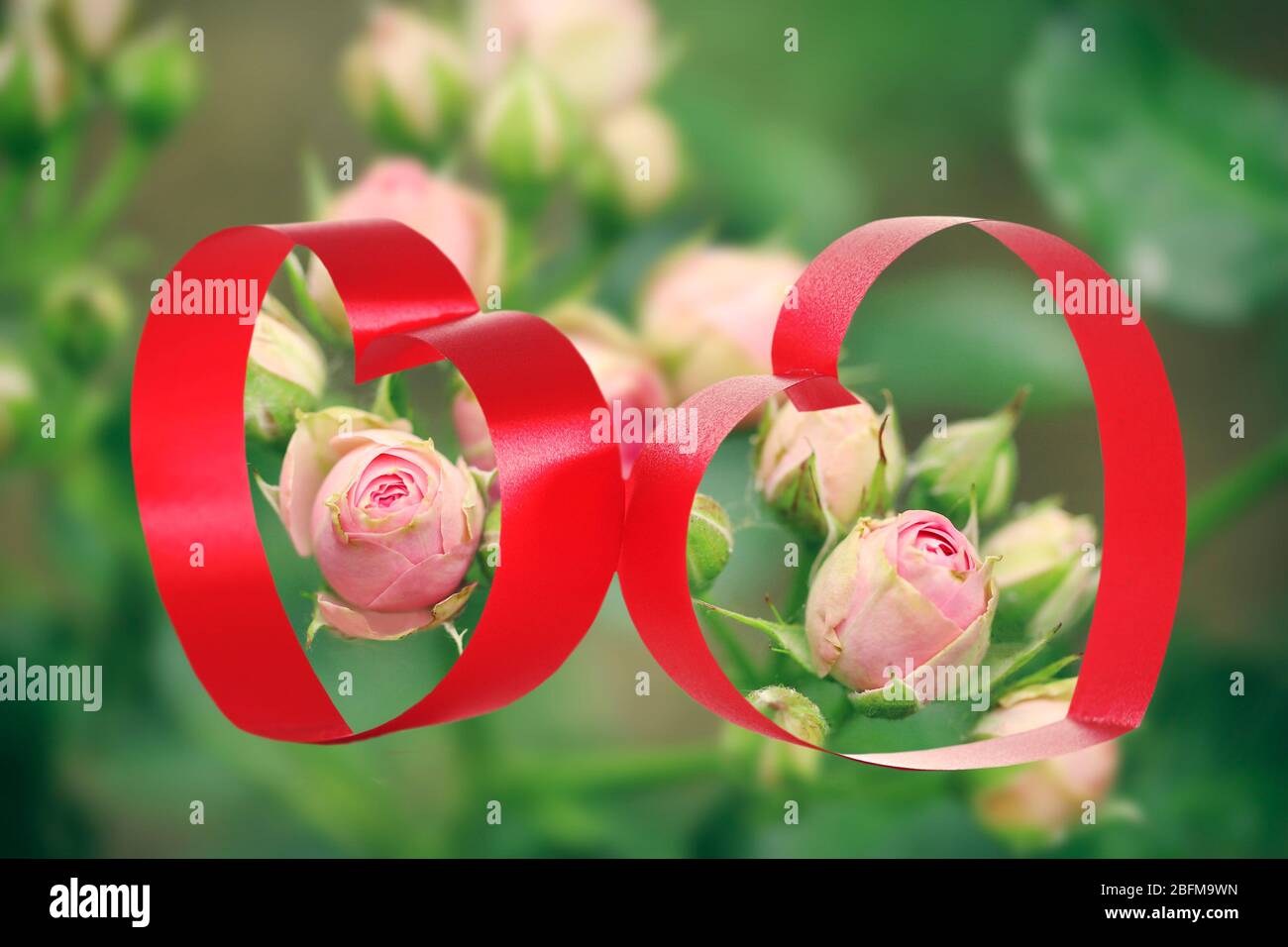 Ribbon shaped as heart on nature background with roses Stock Photo - Alamy