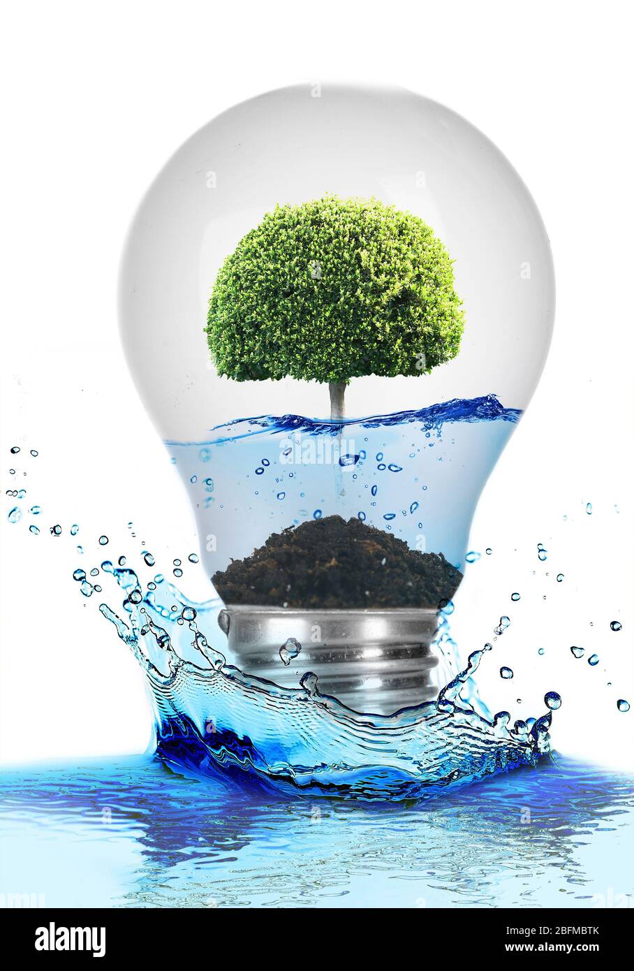 Tree growing inside light bulb with water and in water splash isolated ...