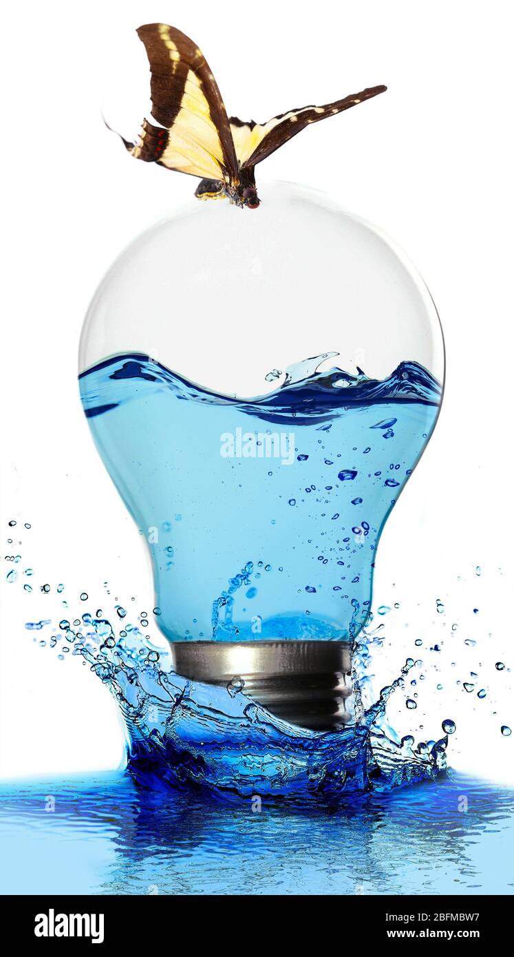 Colorful butterfly sitting on light bulb in water splash isolated on ...
