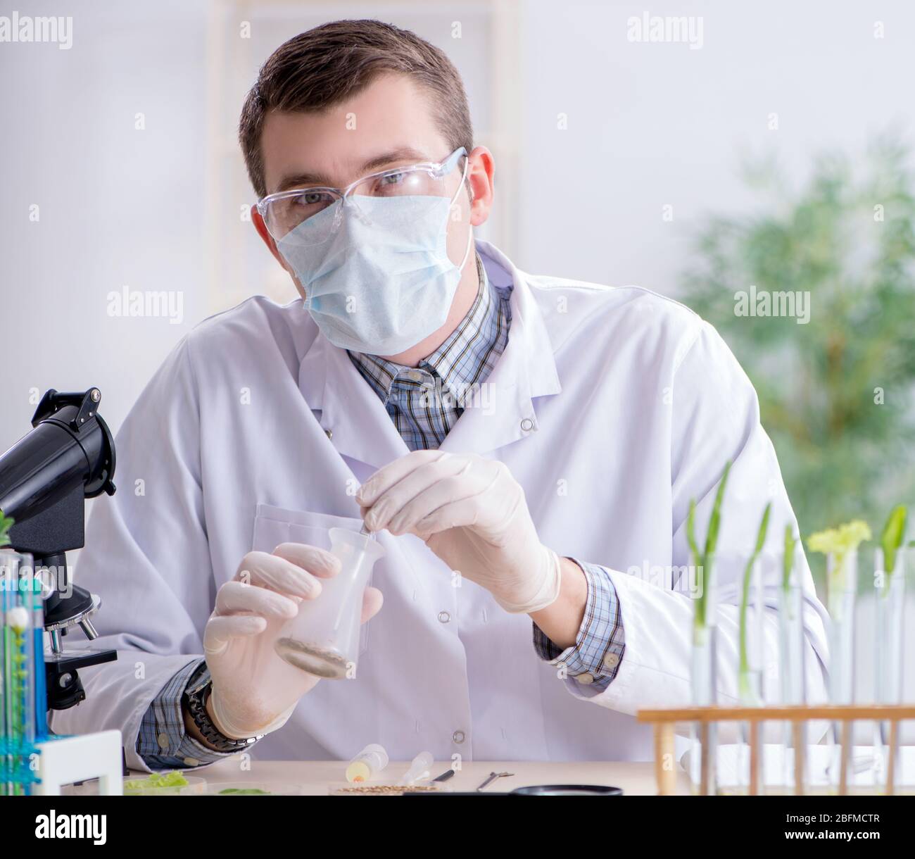 The male biochemist working in the lab on plants Stock Photo - Alamy