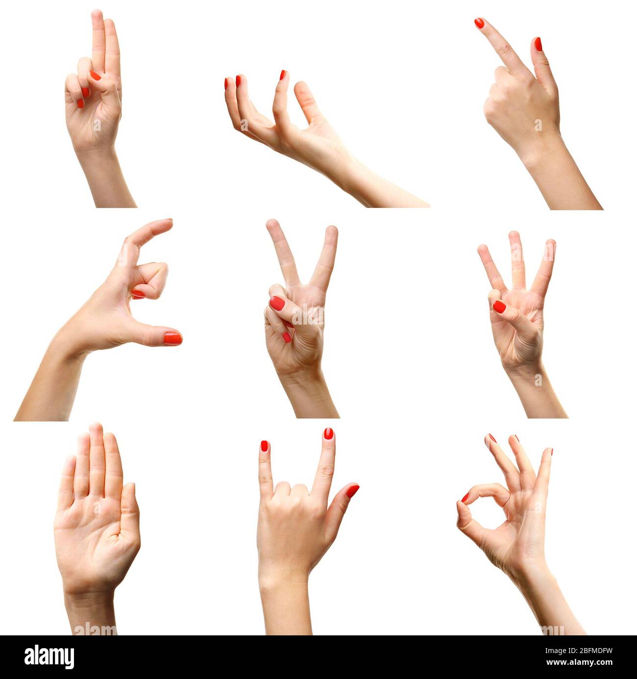 Set of female hands gestures, isolated on white Stock Photo - Alamy