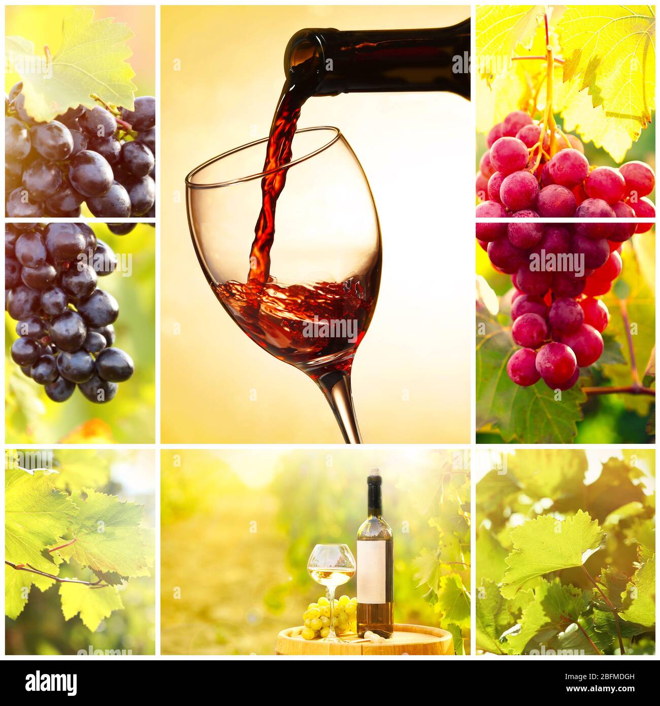 Collage with beautiful wine images, outdoors Stock Photo - Alamy