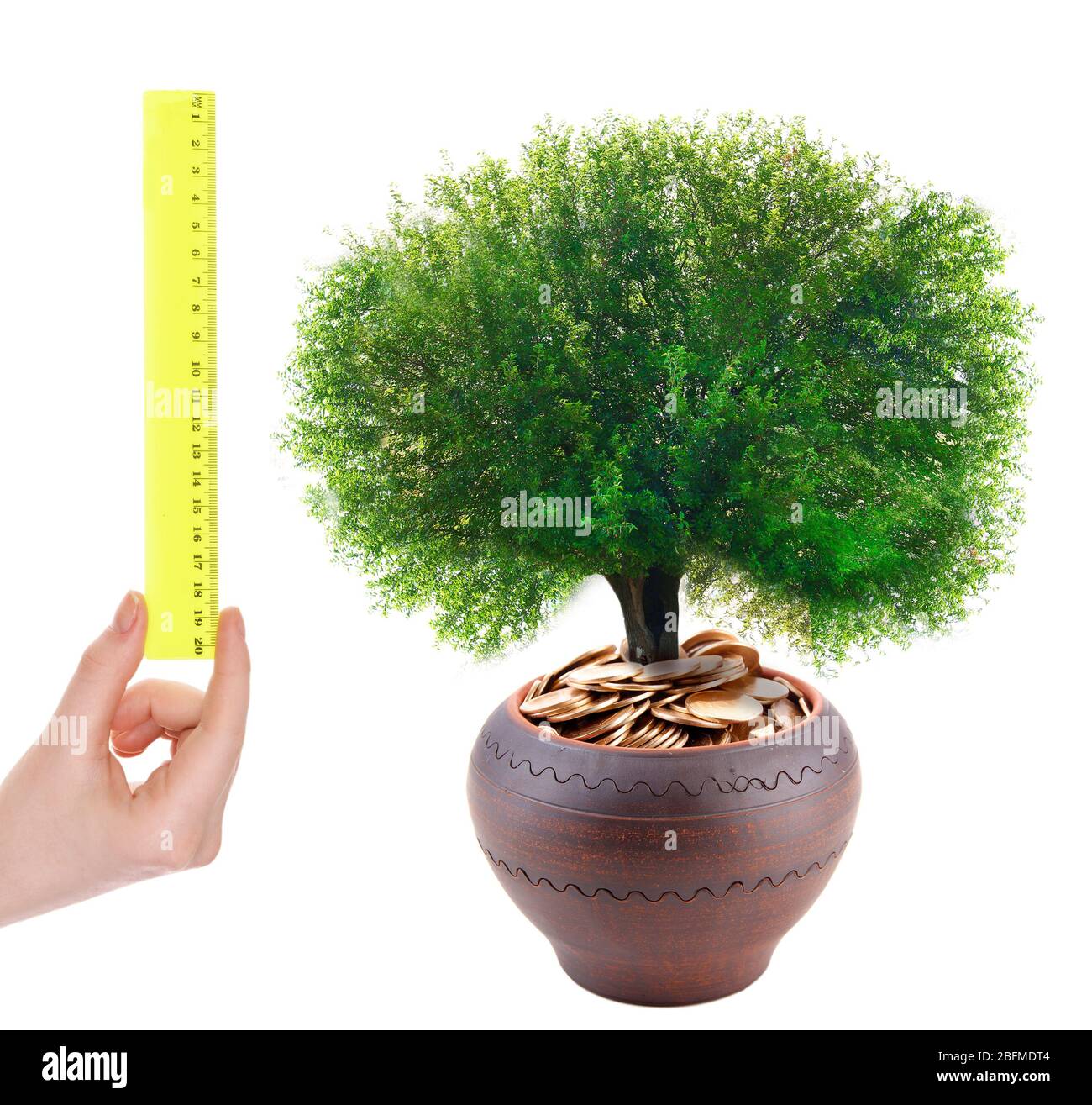 Green tree growing in ceramic pot full of coins and hand with ruler ...