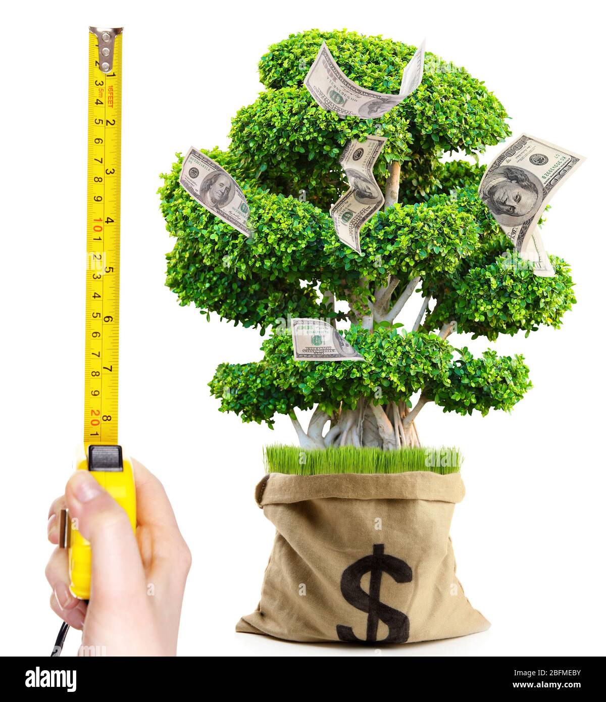 Money tree in bag with dollar sign and hand with roulette isolated on ...