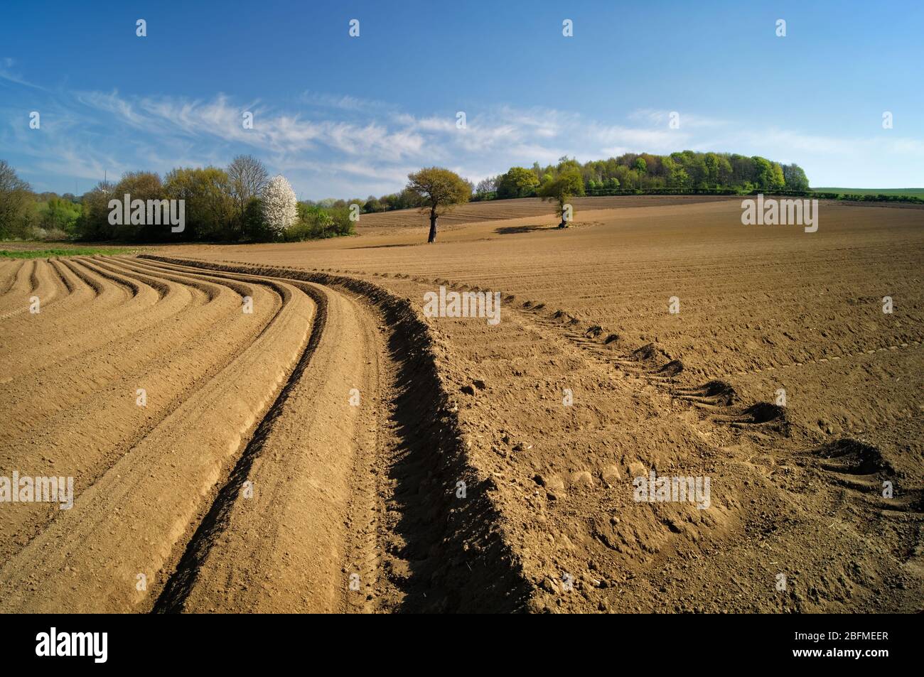 UK,South Yorkshire,Doncaster,Ludwell Hill,Ploughed Field with Furrows ...