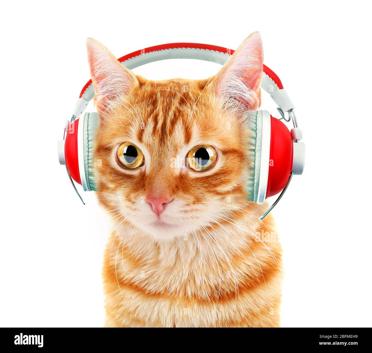 Beautiful cat with headphones isolated on white Stock Photo - Alamy