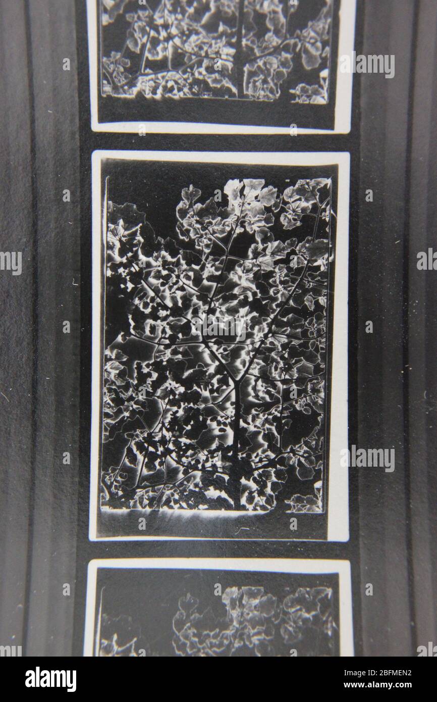 Fine 70s vintage extreme high contrast contact print photography of a ...