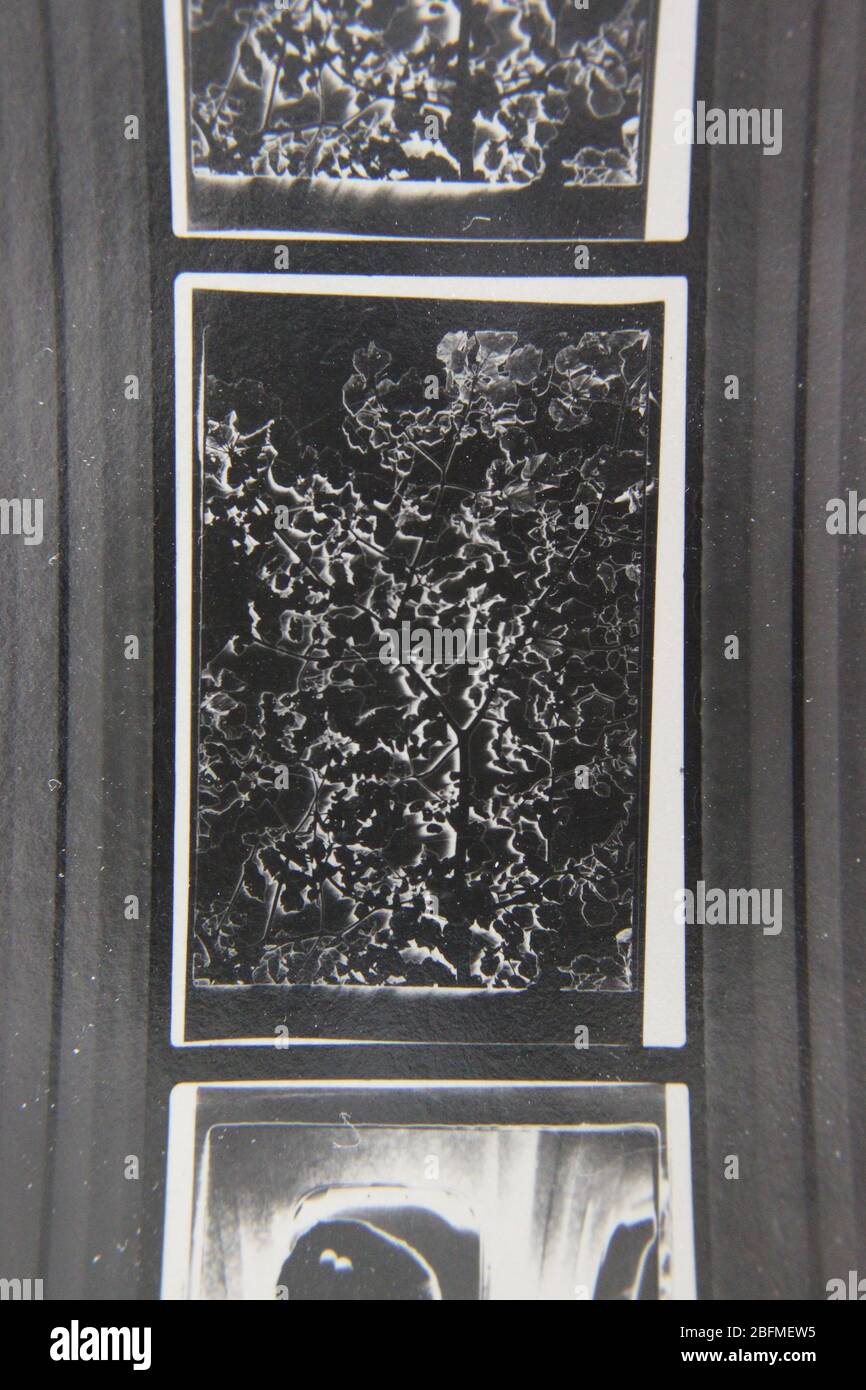Fine 70s vintage extreme high contrast contact print photography of a ...