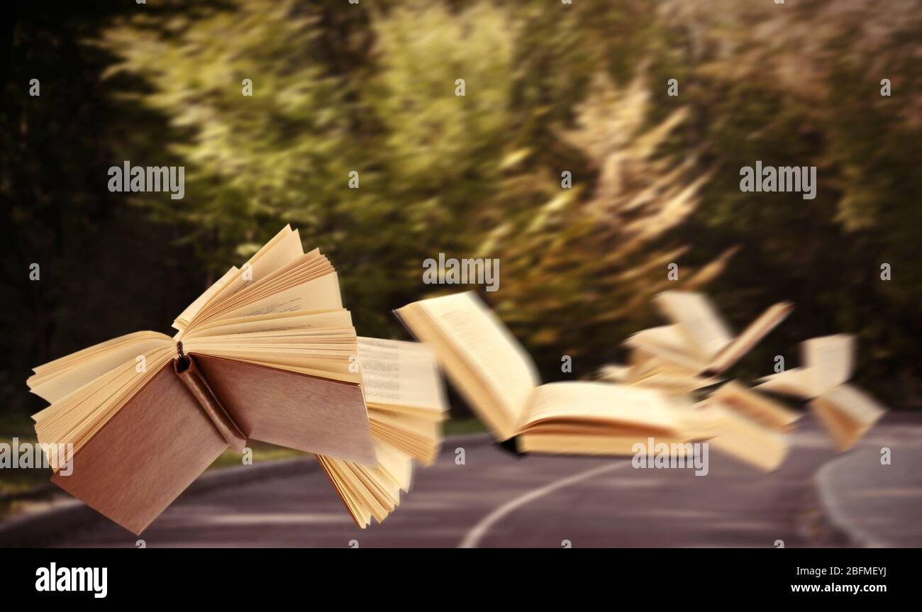 Flying books on asphalt road and trees background Stock Photo - Alamy