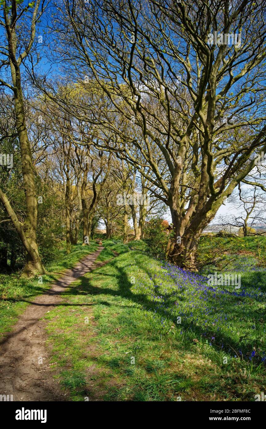 High hoyland hi-res stock photography and images - Alamy