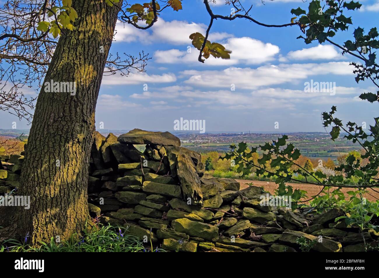 High hoyland hi-res stock photography and images - Alamy
