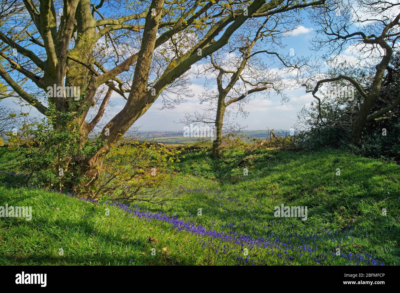Hoyland yorkshire hi-res stock photography and images - Alamy