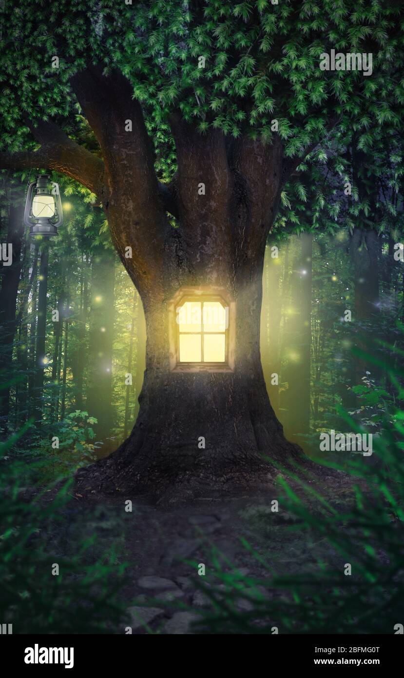 Fairy tree in magic forest Stock Photo - Alamy