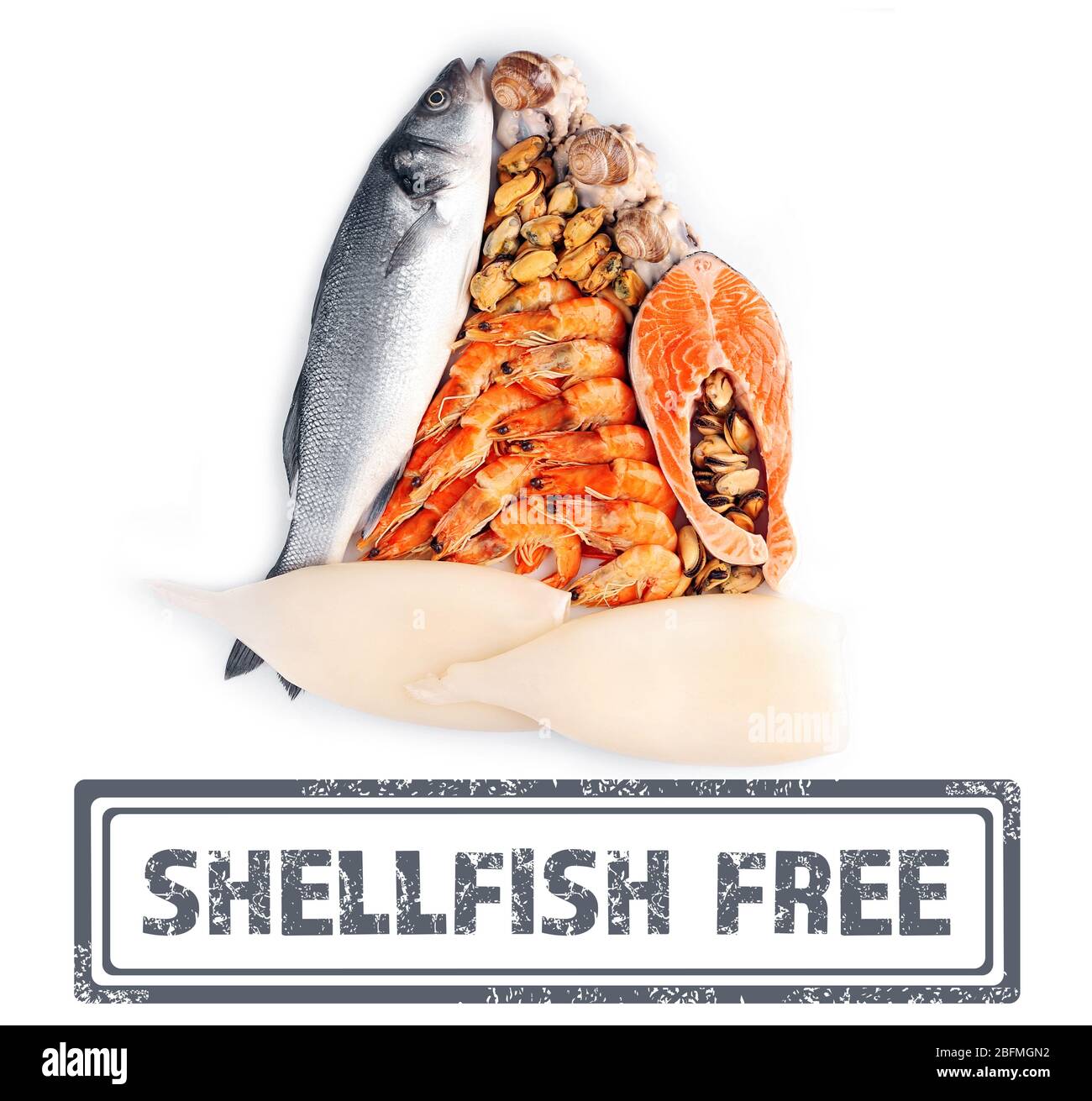 Seafood market squid allergy hi-res stock photography and images - Alamy