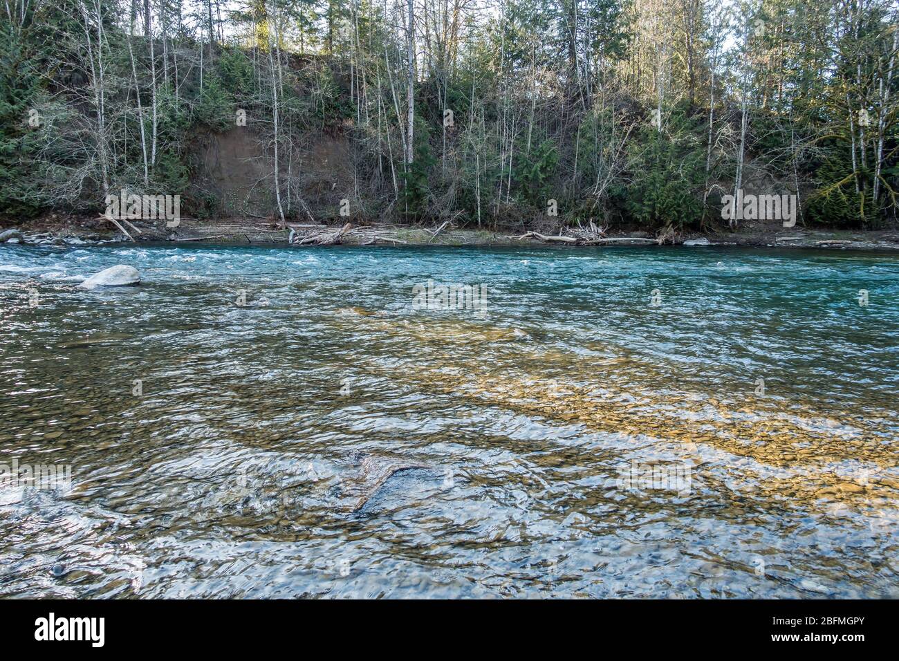 A view of the Green River in Washington State and trees Stock Photo - Alamy