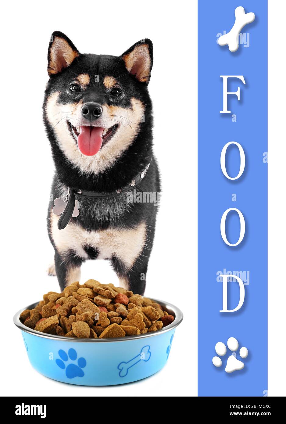 Animal hungry icon Cut Out Stock Images & Pictures - Alamy