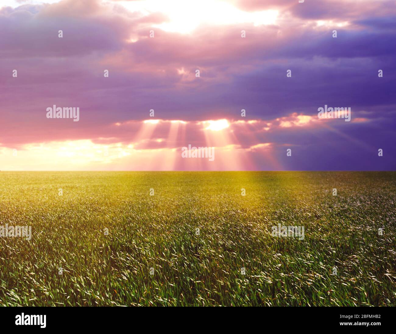 Beautiful field and sky with sunlight Stock Photo - Alamy