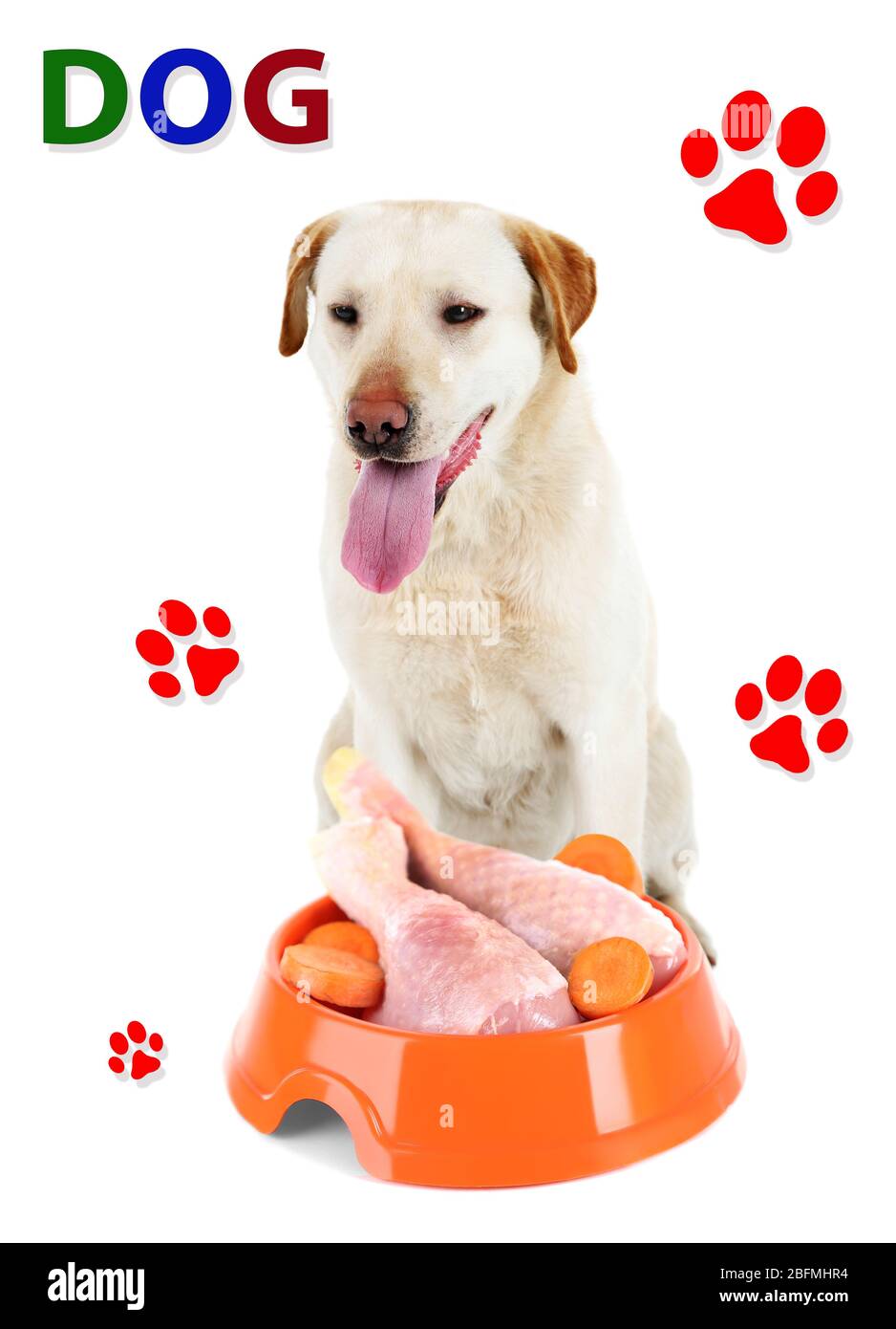 Hungry dog with bowl of tasty food, isolated on white Stock Photo - Alamy