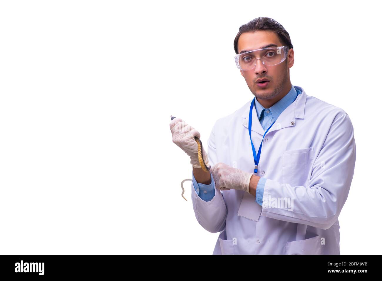 The young male zoologist with snake isolated on white Stock Photo - Alamy