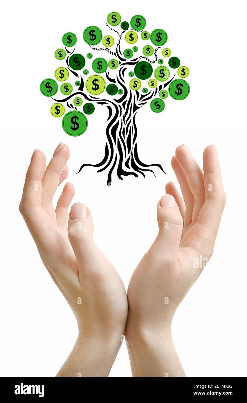 Financial success concept. Money tree growing on human hand isolated on ...