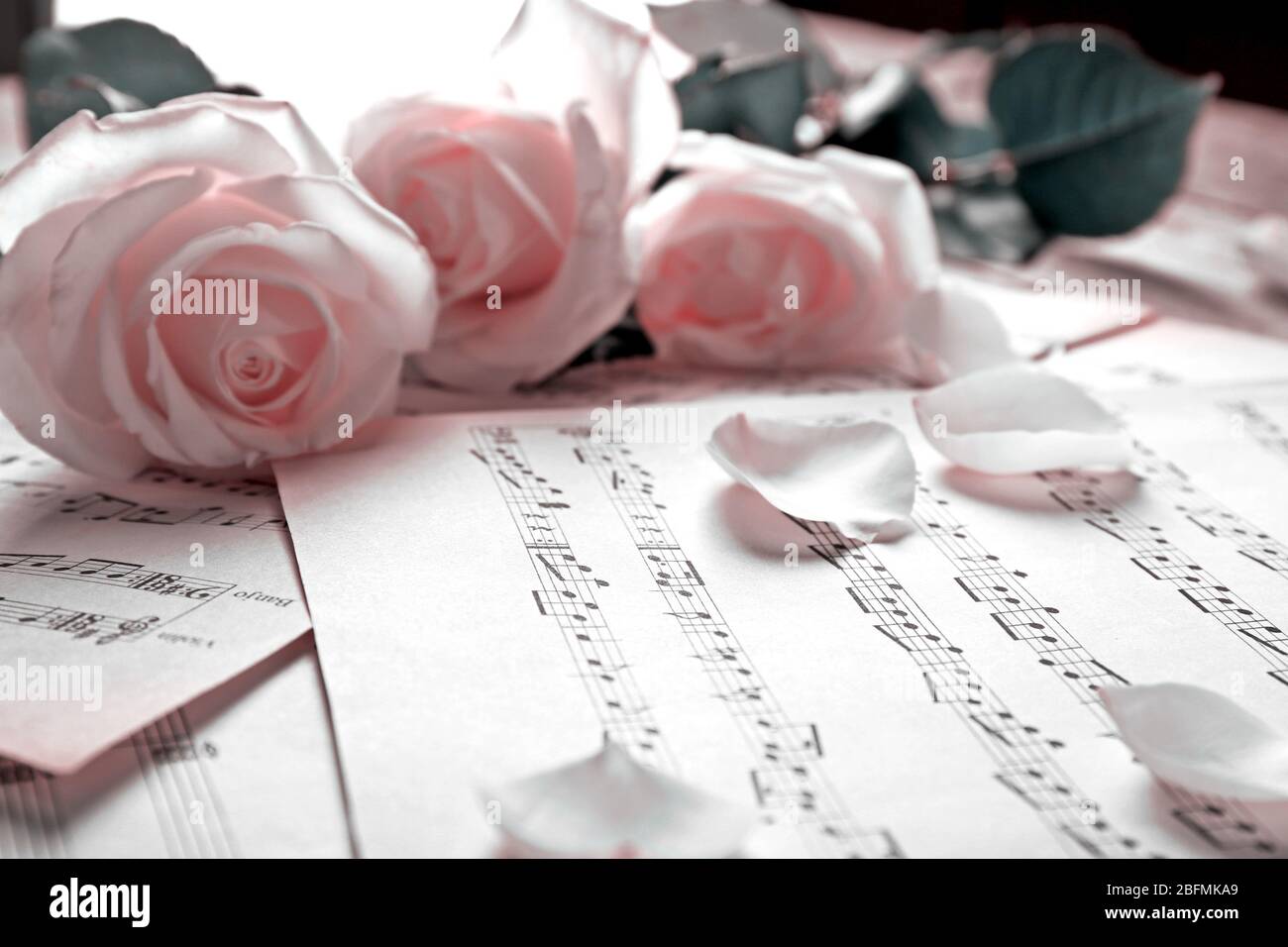 Beautiful roses on music notes background Stock Photo - Alamy