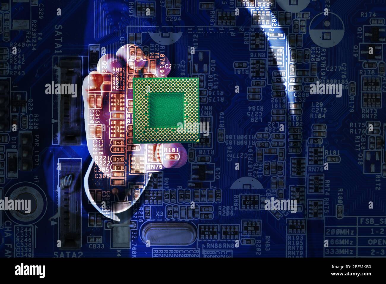 Man holding microchip and electronic circuit board, close up Stock ...