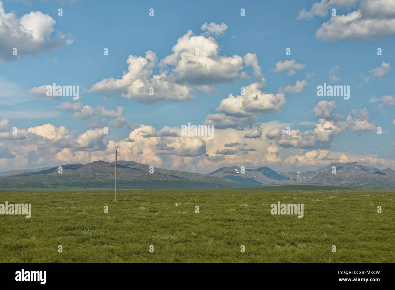 Tundra in the foothills of the Polar Urals. View of the Main Ural ridge ...