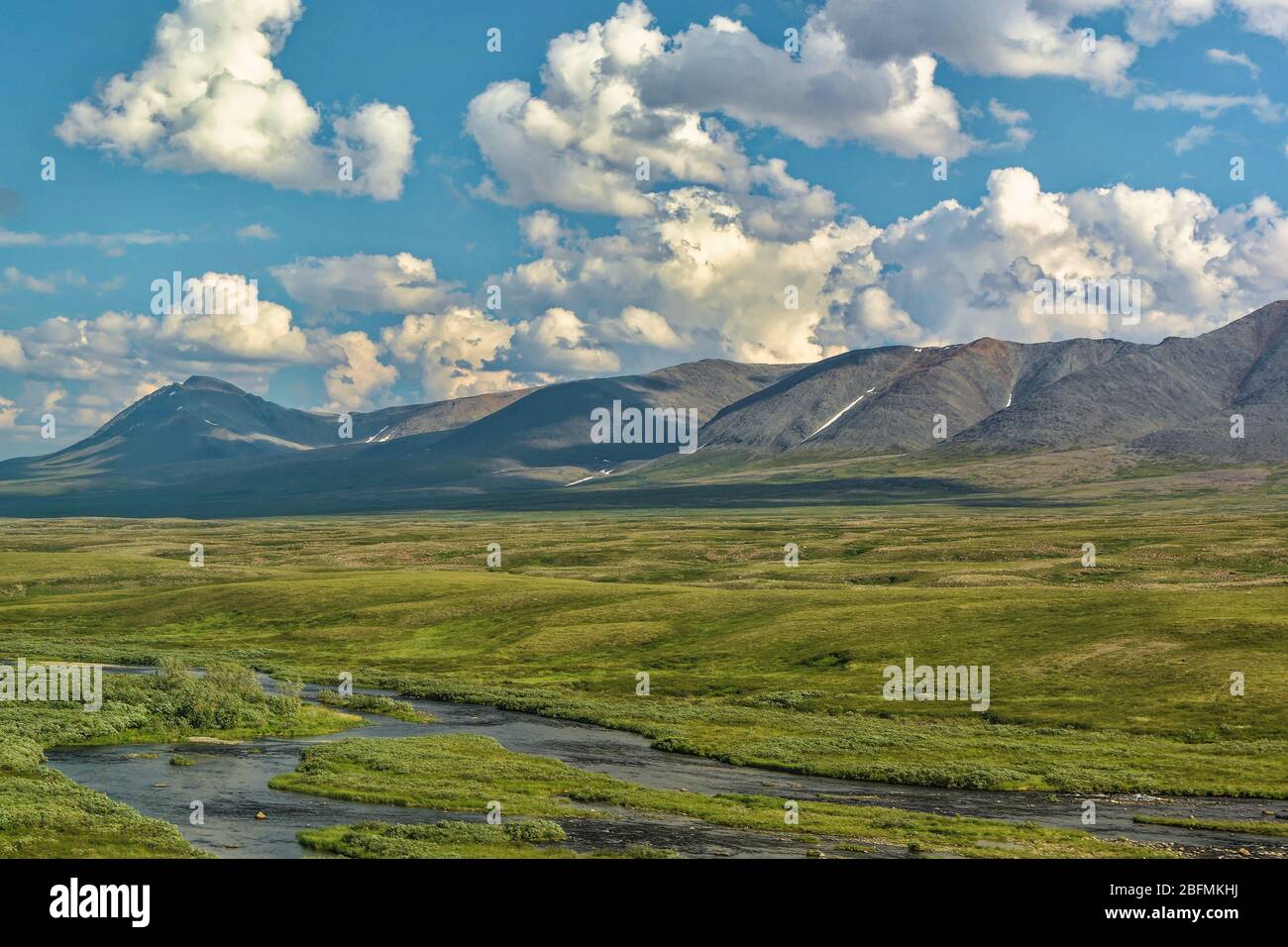 Tundra in the foothills of the Polar Urals. View of the Main Ural ridge ...