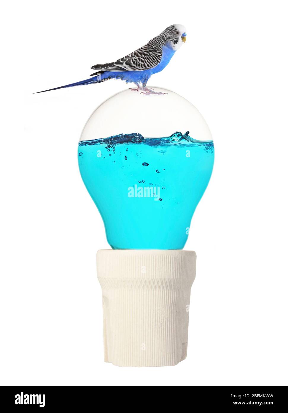 Little lightbulb hi-res stock photography and images - Alamy