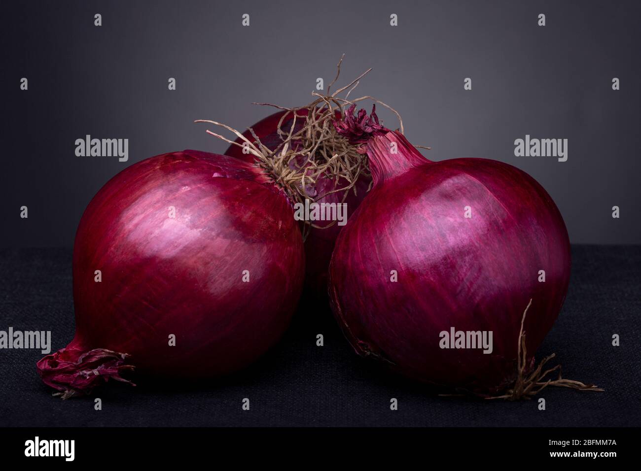 Shiny vibrant purple red onion studio low key still life macro closeup ...