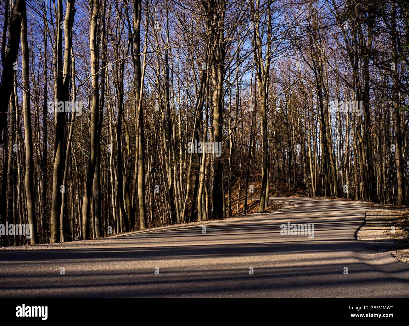 Many shadows hi-res stock photography and images - Alamy