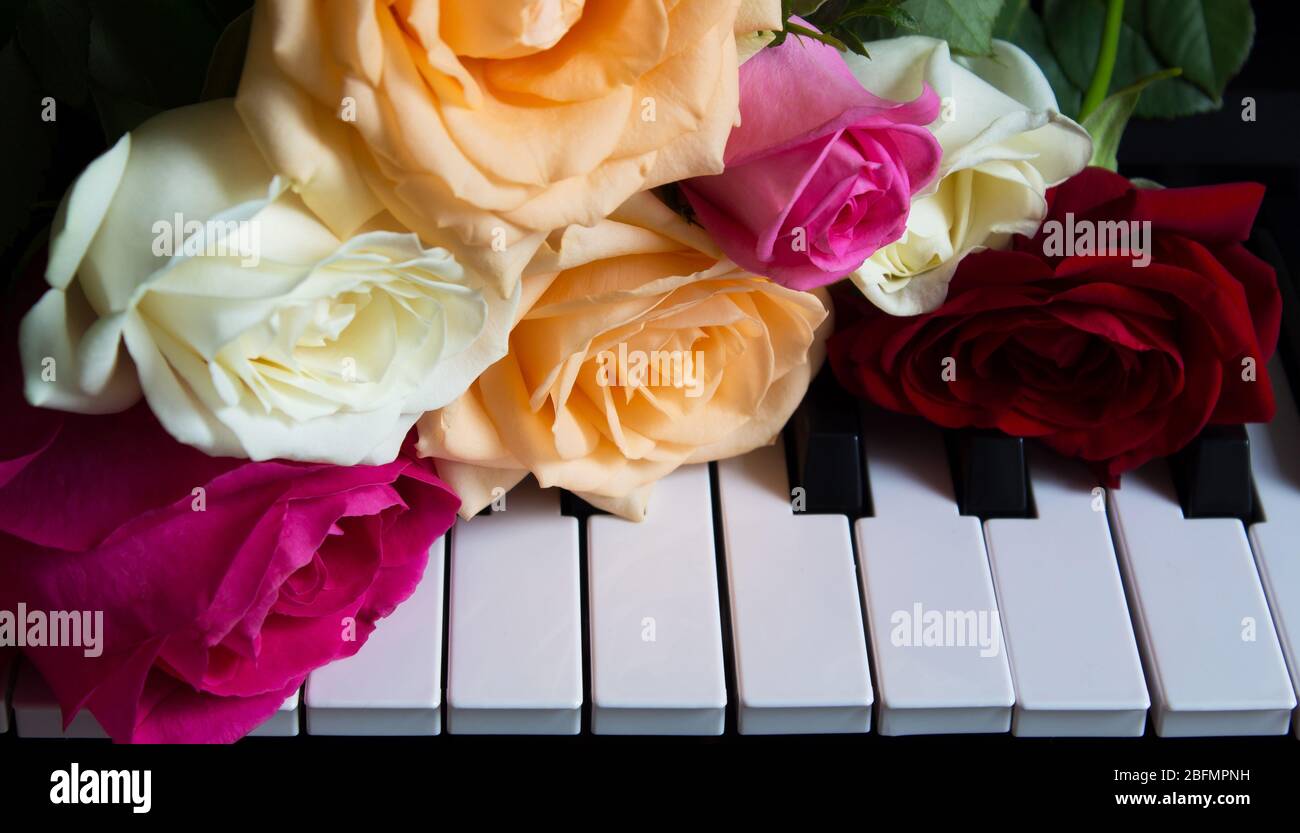 Bouquet of colorful roses on the piano. Flowers on a musical instrument ...