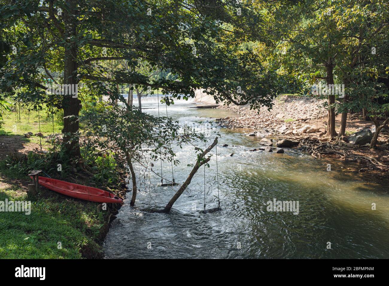 Stream in the forest with wooden swing and canoe Stock Photo - Alamy